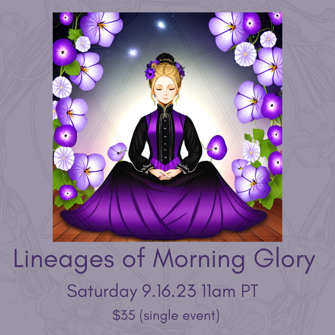 Events – Gita Rose