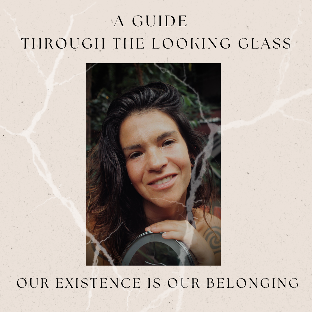 A Guide through the Looking Glass